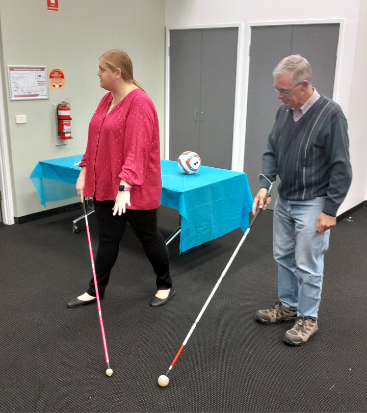 Vision Loss Awareness Training - Blind Sports